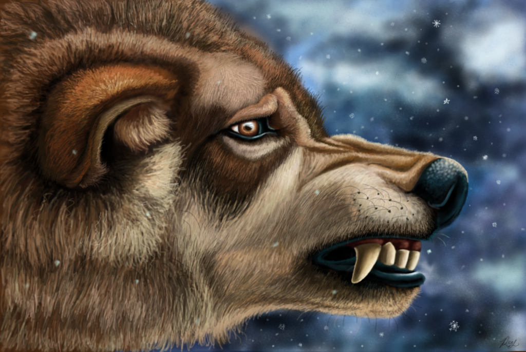 Digital Drawings/Graphic Design – Rachel Faith Turi